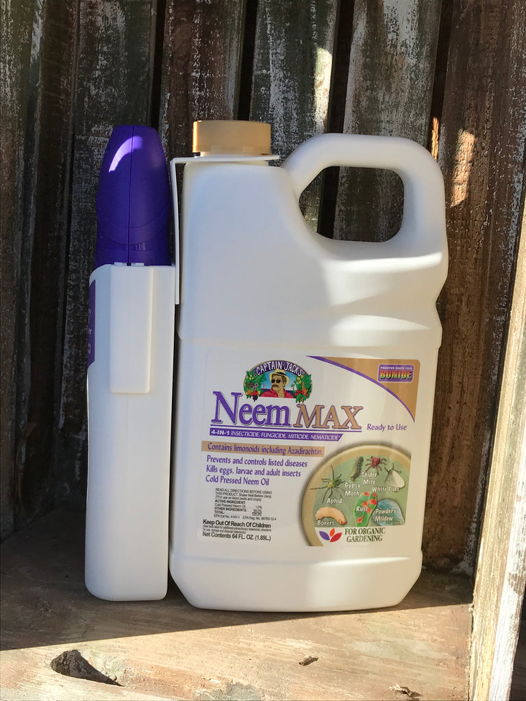 Organic Insecticide Bonide Captain Jack's Neem Max 64 Oz Spray | Cold ...